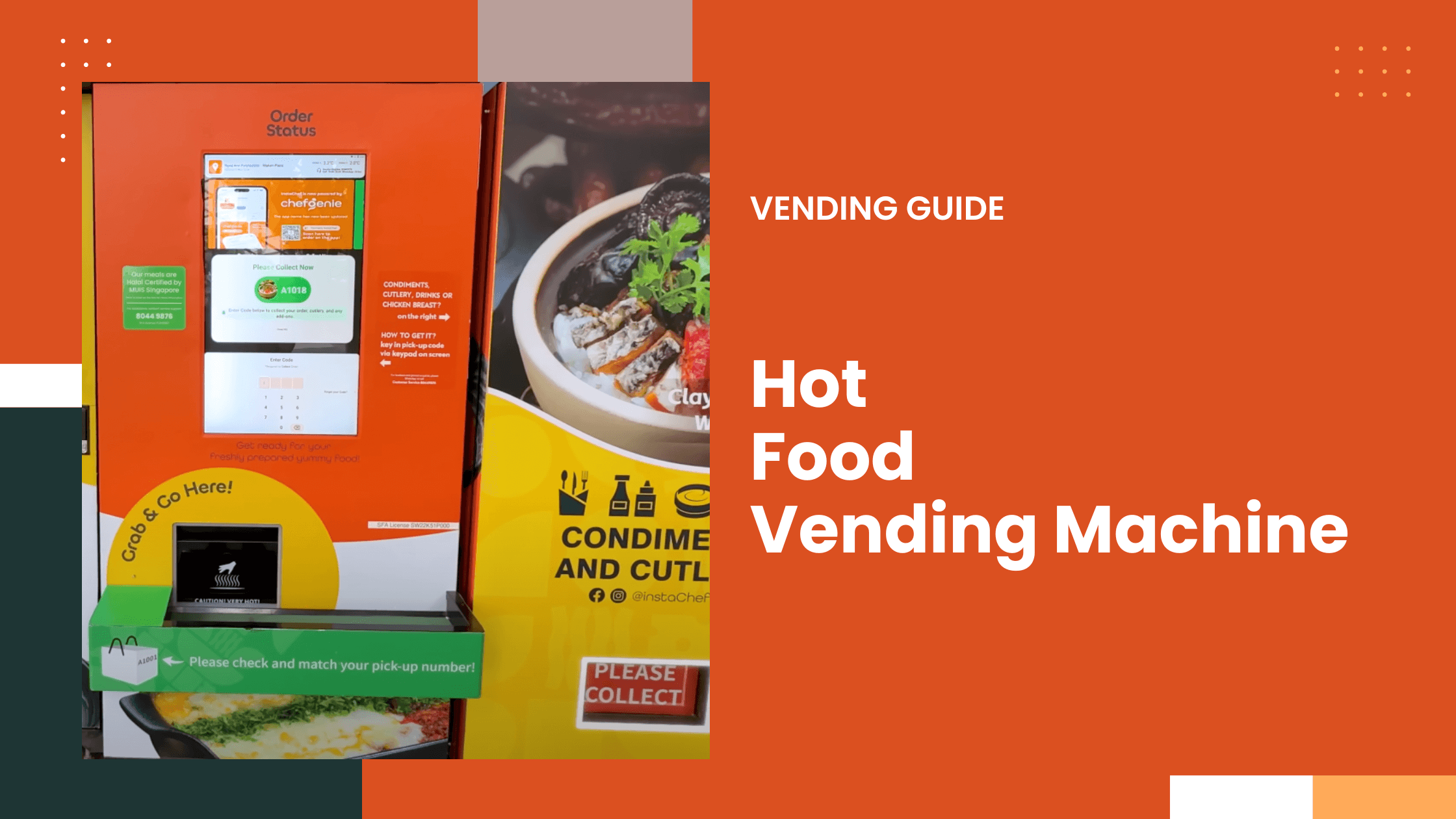 Hot Food Vending Machine For Sale | 24/7 Meals & Business Setup