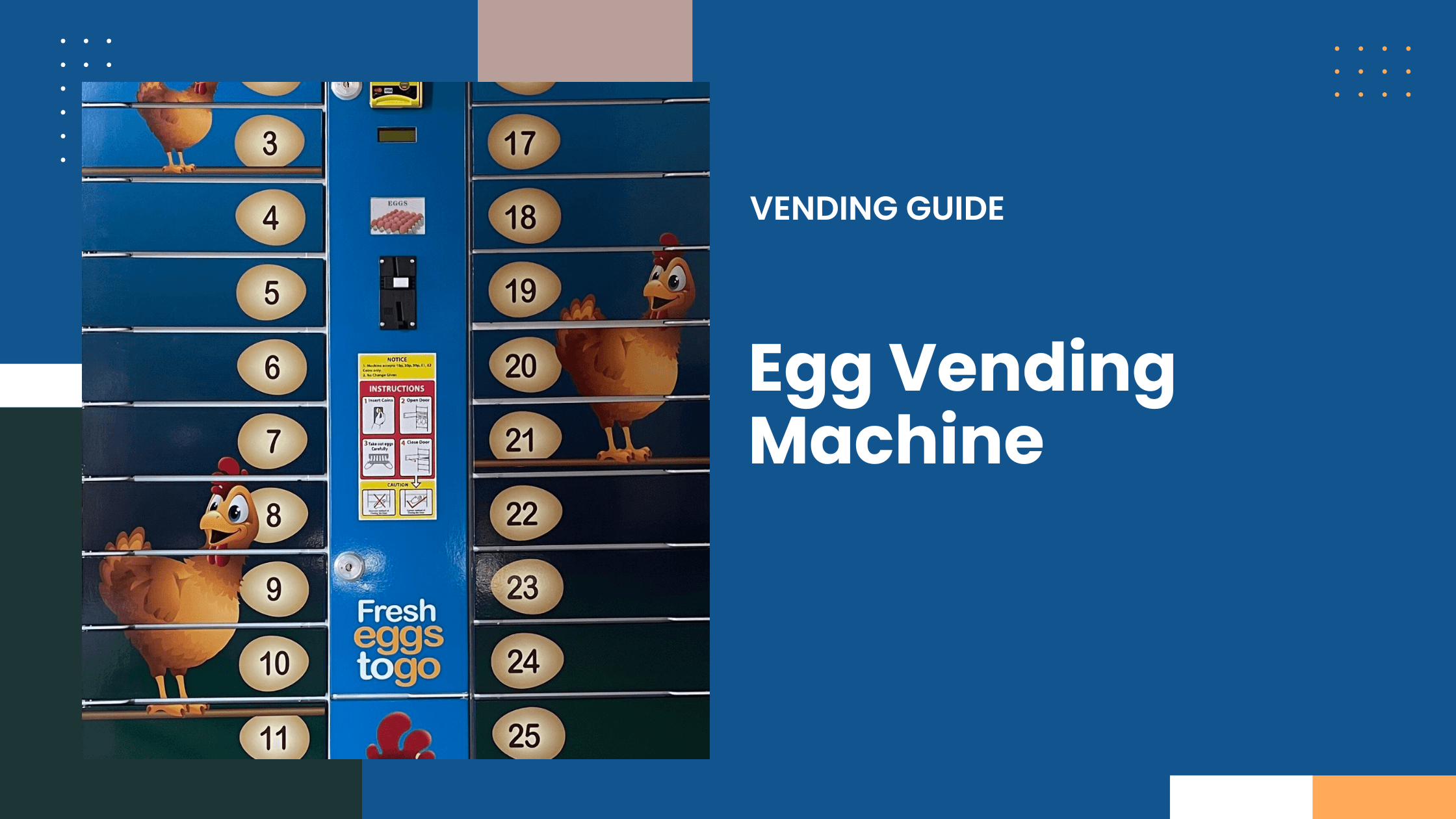 Egg Vending Machine: Sell Fresh Eggs 24/7 with Top Brands